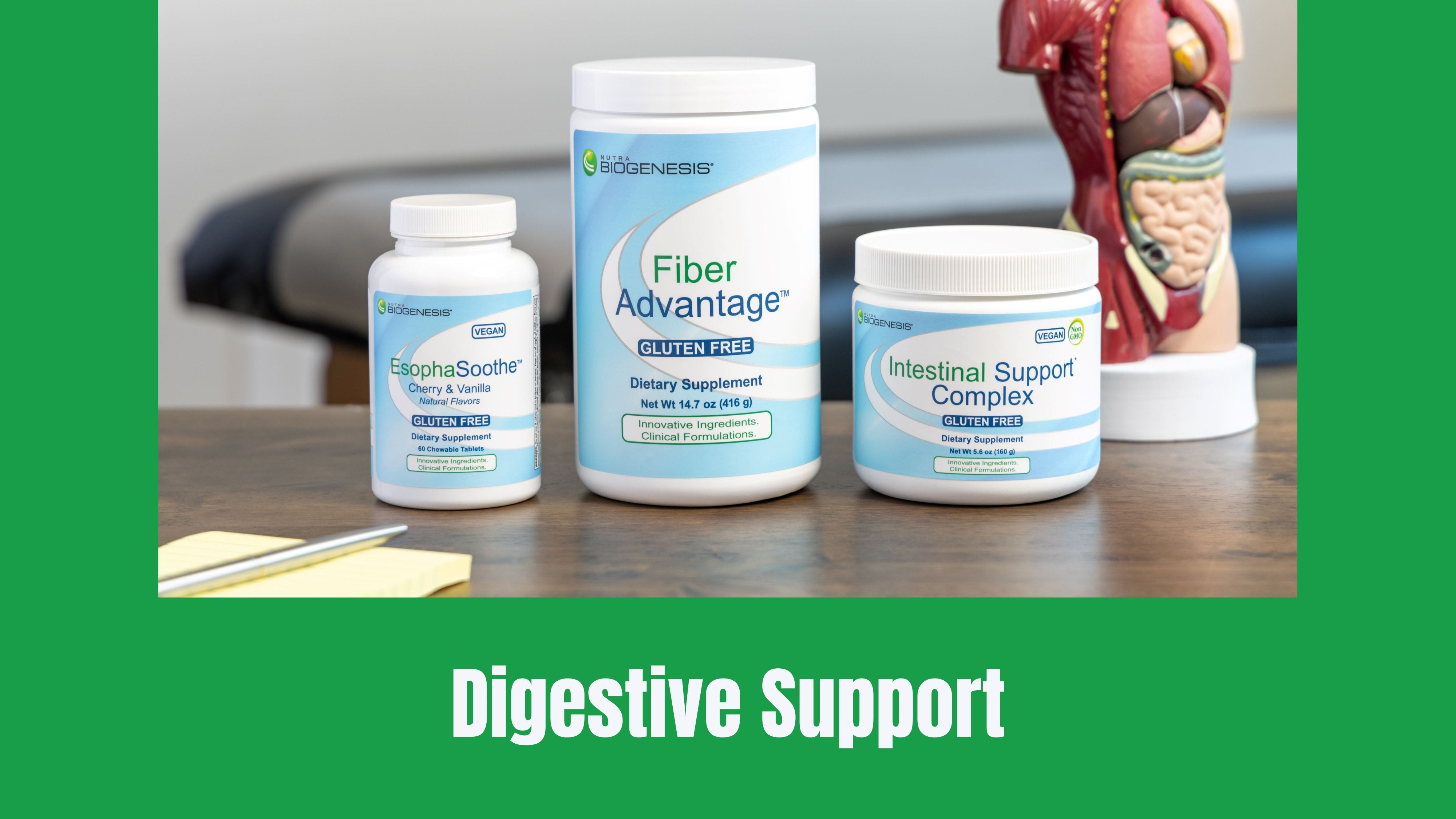 Digestive Support – Nutra Biogenesis